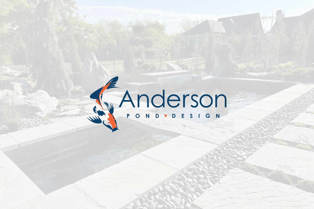 Anderson Pond Design | D2 BRANDING